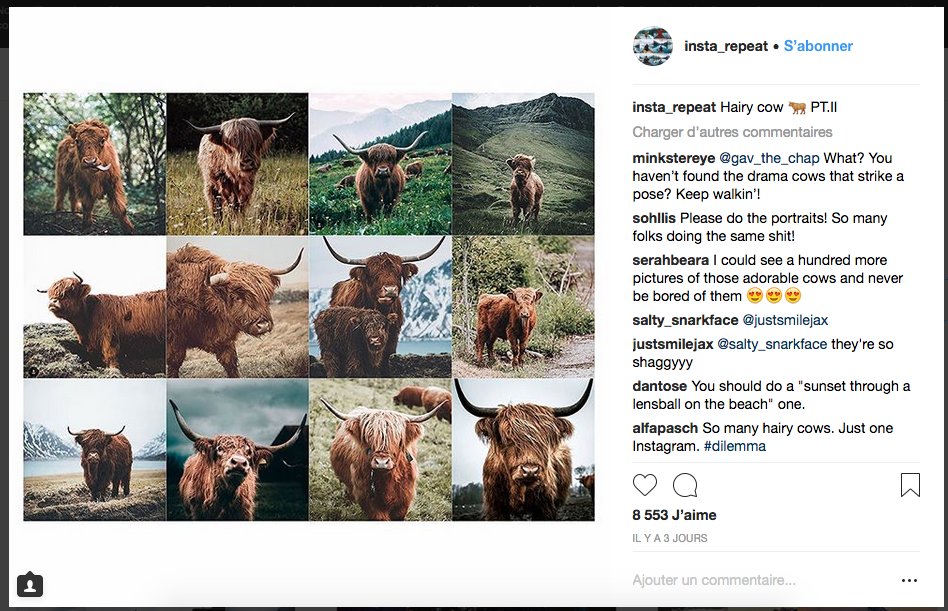 Insta-repeat, l'instagram qui met en avant les photos similaires des ...